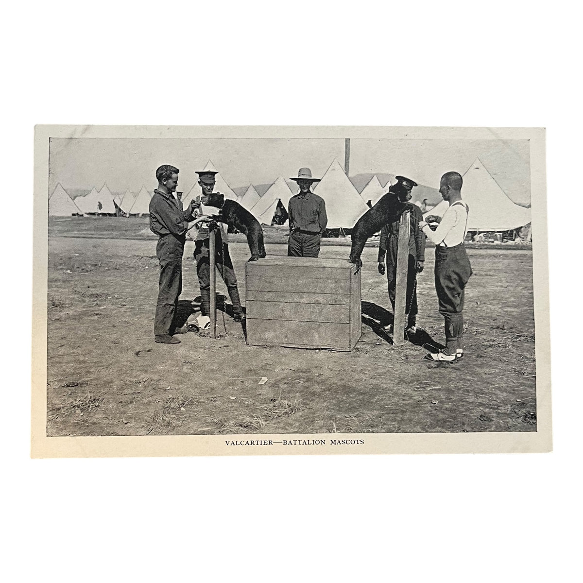 Militaria - WW1 Canadian – Marway Militaria Inc & Winnipeg Army Surplus