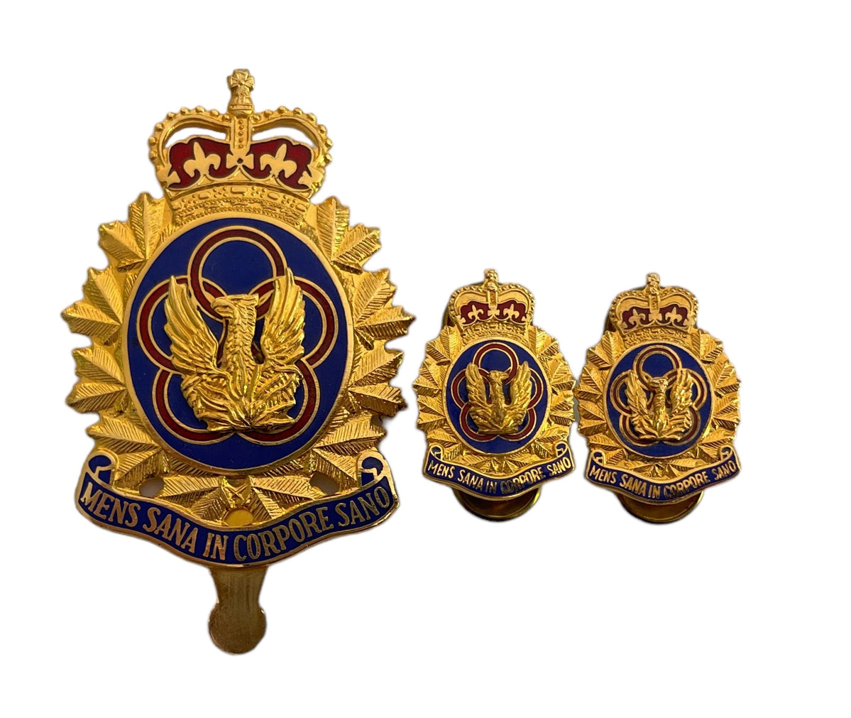 CANADIAN FORCES PHYSICAL TRAINING BRANCH BADGE SET – Marway Militaria ...