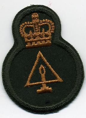 Grp 3, Dental Lab Tech Trade Badge - green – Marway Militaria Inc ...