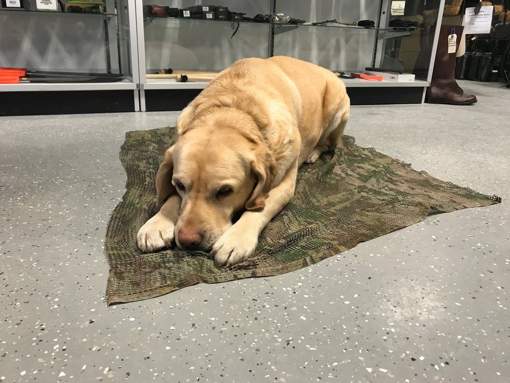 Voodoo Tactical Sniper Veil Scarf – Marway Militaria Inc & Winnipeg ...