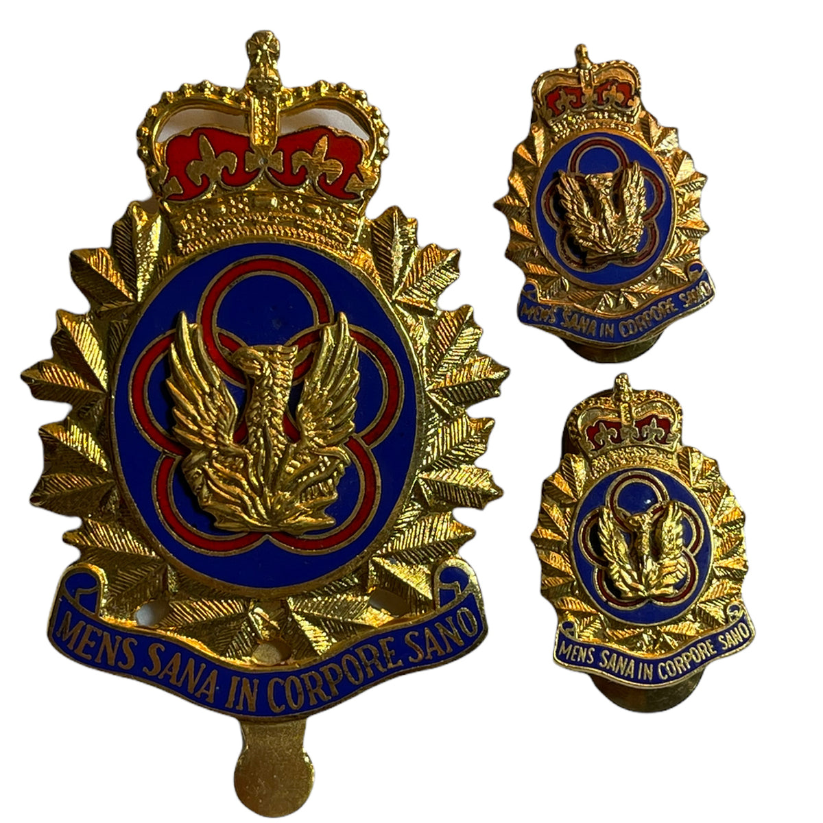 Canadian Forces Physical Training Branch Badge Set – Marway Militaria ...